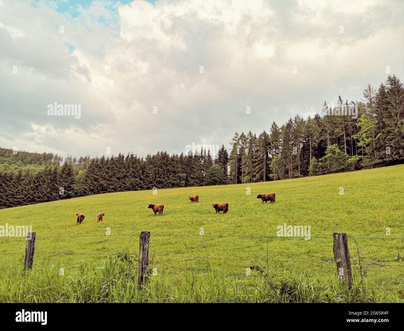 Hochsauerlandkreis hi-res stock photography and images - Alamy