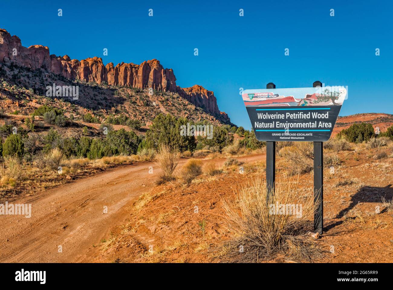 Road sign at Wolverine Petrified Wood Natural Environmental Area ...