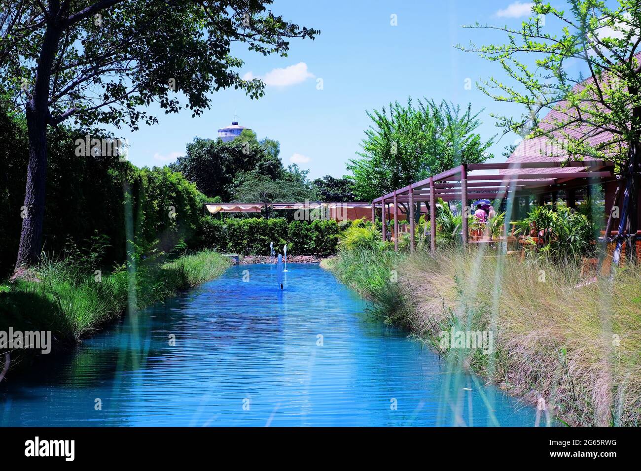 Blue water pond amid greenery trees in garden Stock Photo - Alamy