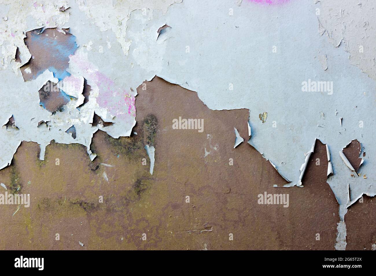 Large sections of blue paint peel off a brown metal surface Stock Photo ...