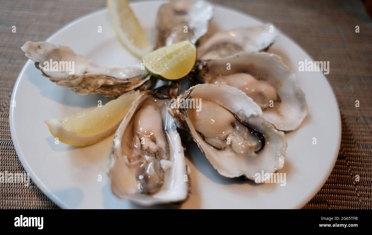Fresh Raw Oysters Fine Dining Buffet Gourmet Cuisine Bangkok Thailand ...