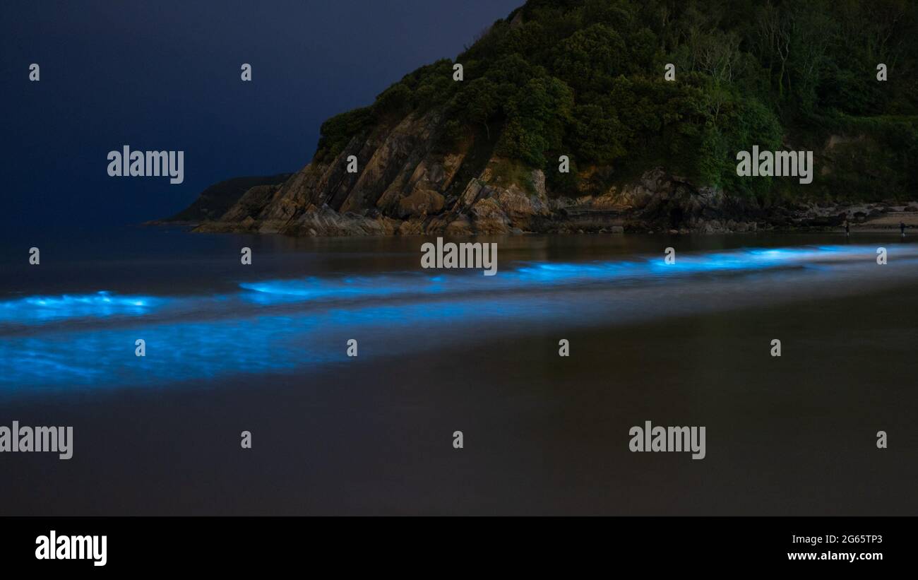 Glowing Algae In Hawaii