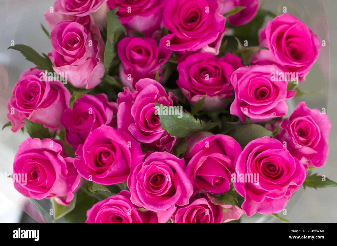 Beautiful packing hi-res stock photography and images - Alamy