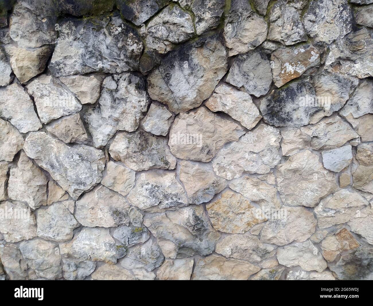 Mold on the stone hi-res stock photography and images - Alamy