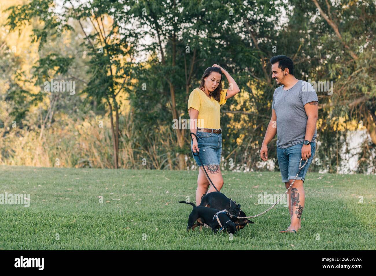 Couple talking with each other walking with their two dogs in a park ...