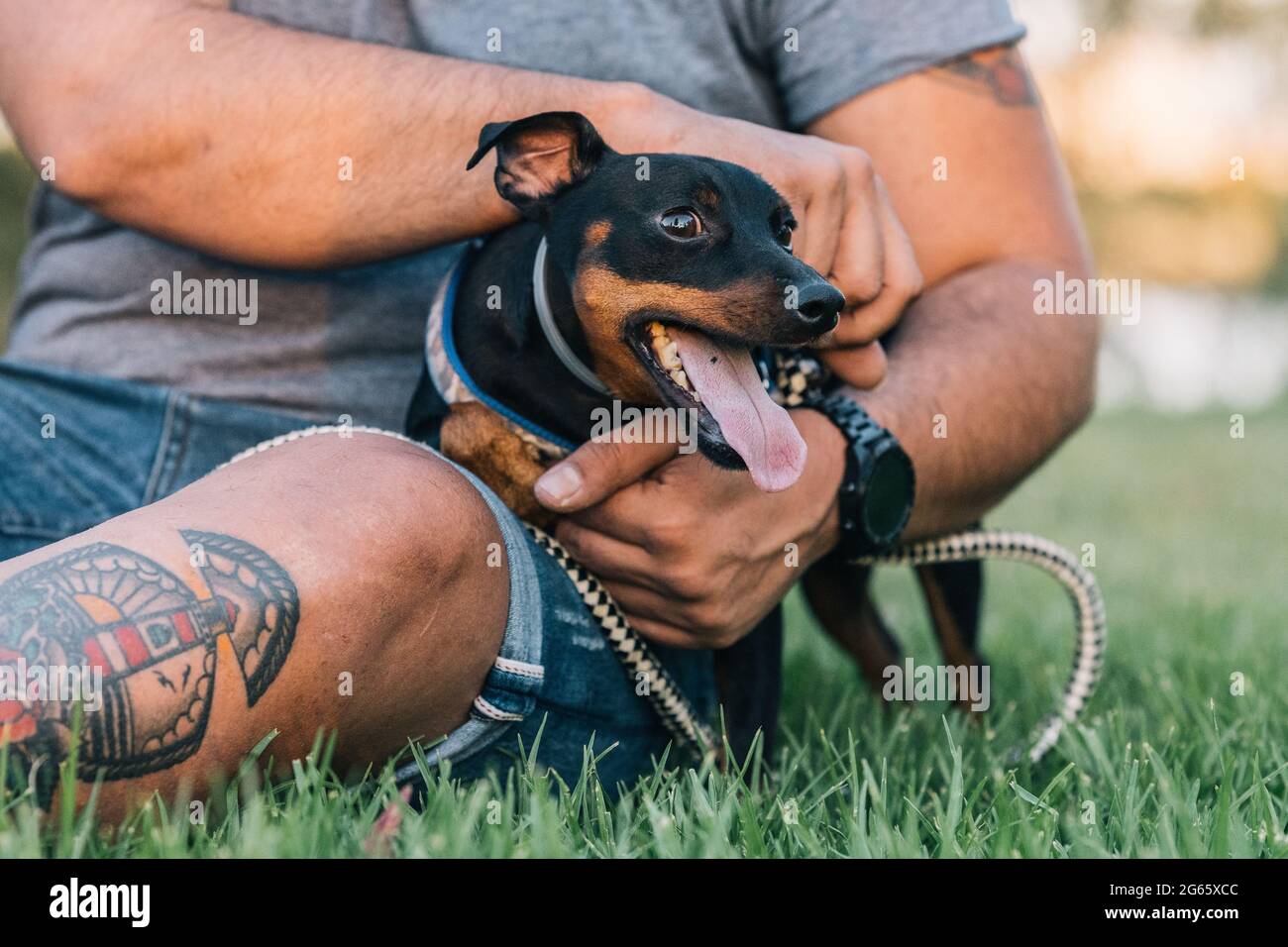 Dog owner sitting close hi-res stock photography and images - Alamy