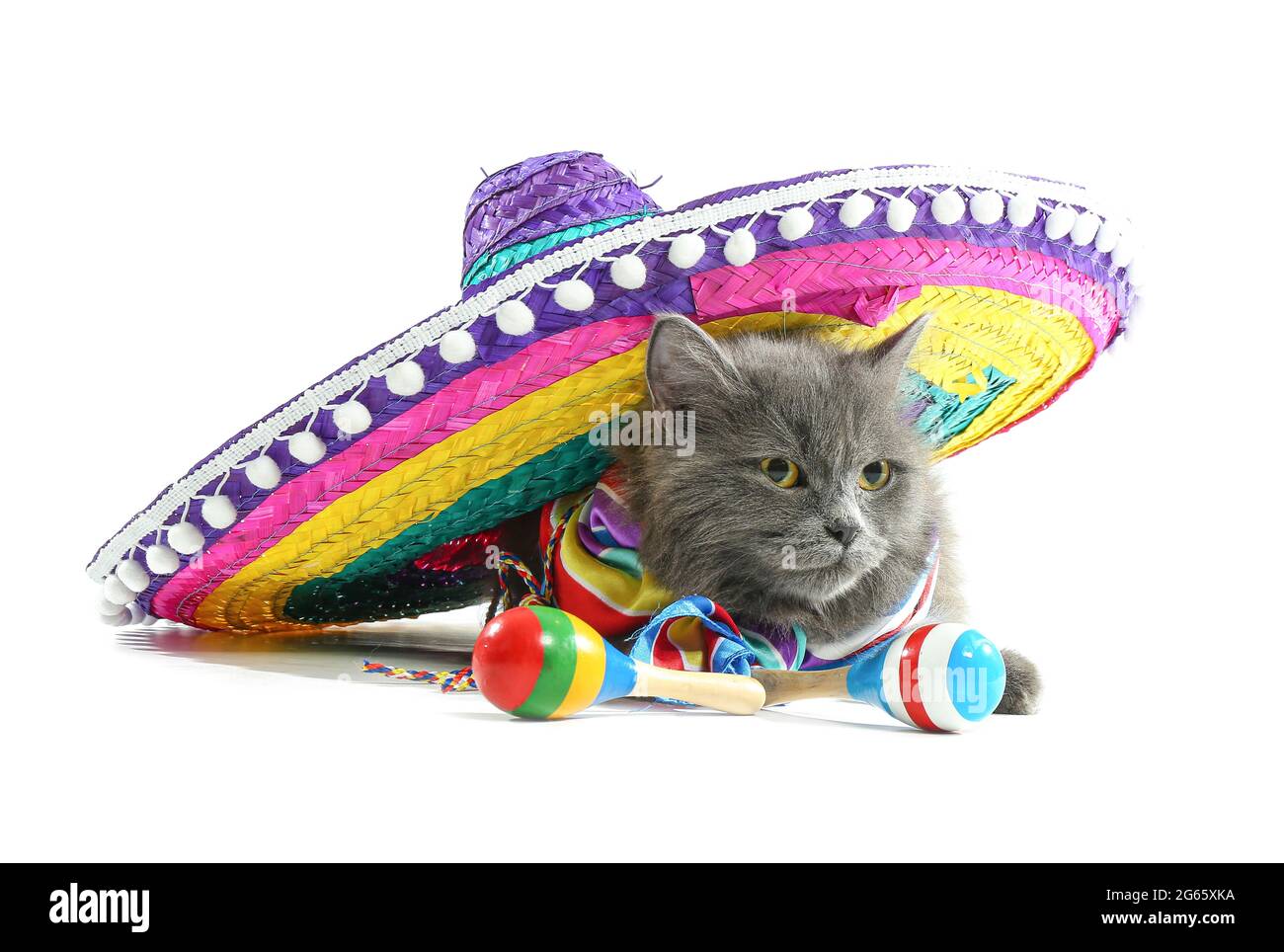Cute cat with sombrero and maracas on white background Stock Photo - Alamy