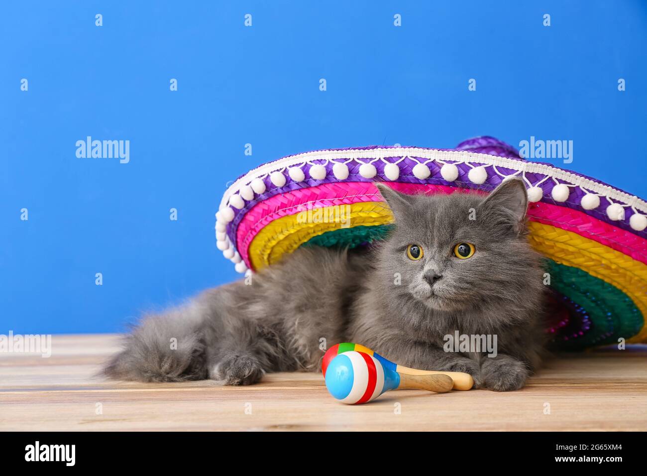 Cute cat with sombrero and maracas on color background Stock Photo - Alamy