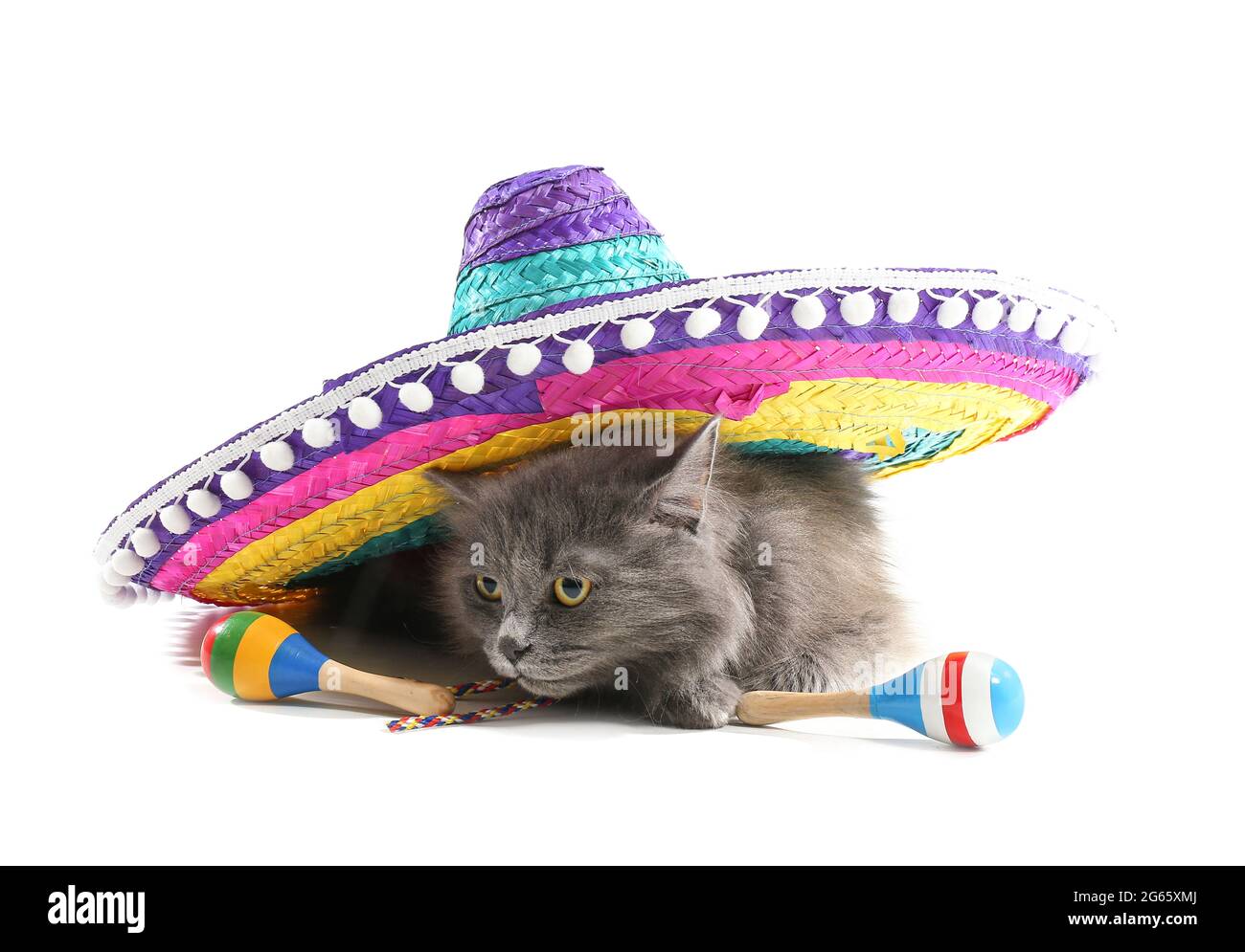 Cute cat with sombrero and maracas on white background Stock Photo - Alamy
