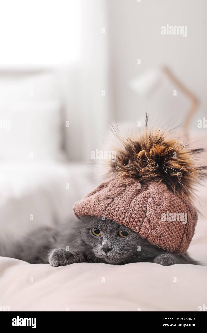 Warm temperature trend hi-res stock photography and images - Alamy