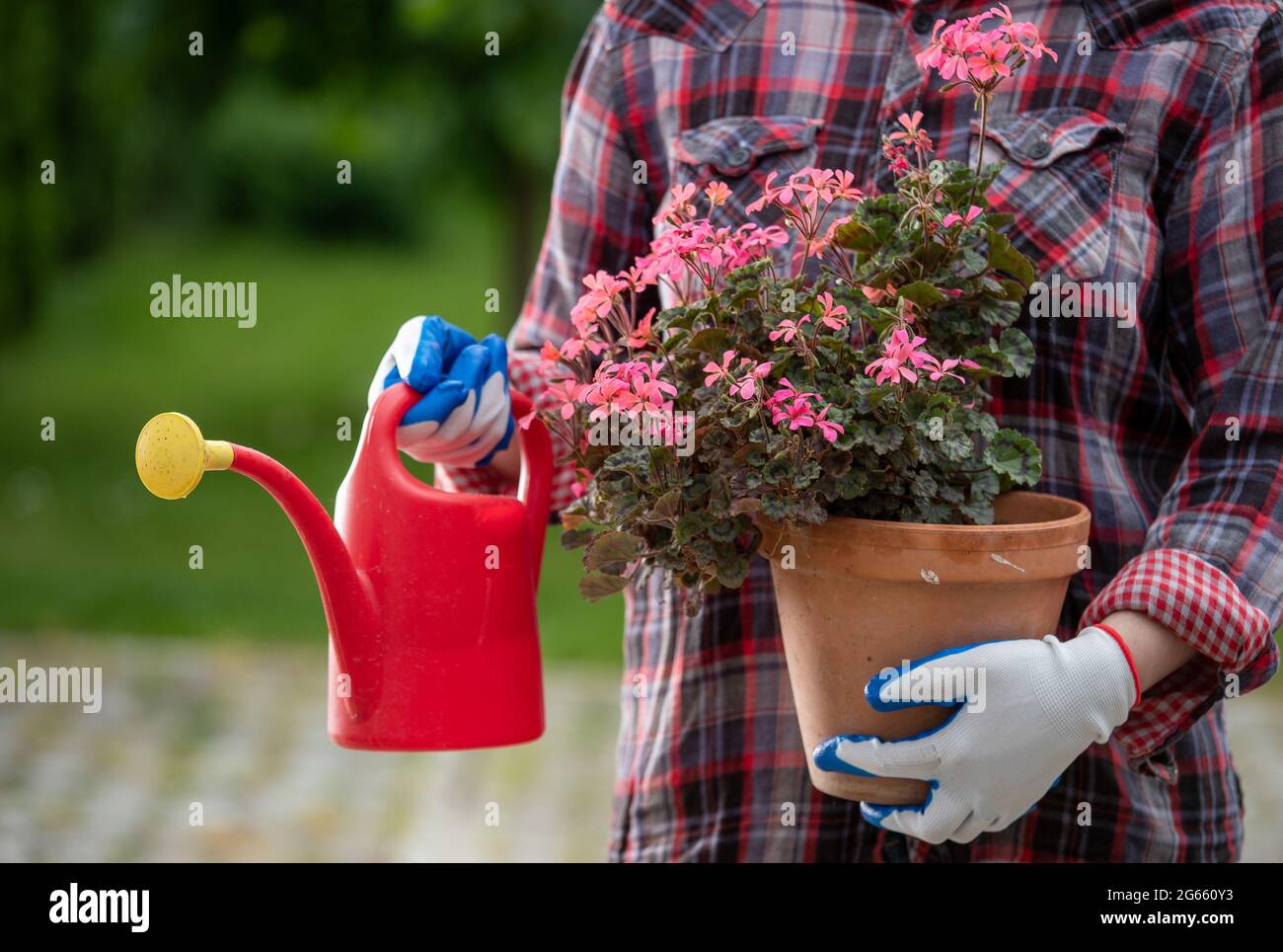 Woman carrying pot plant hi-res stock photography and images - Alamy