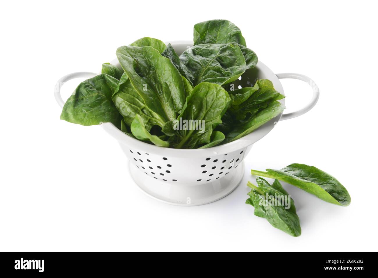 Colander with fresh spinach leaves on white background Stock Photo - Alamy