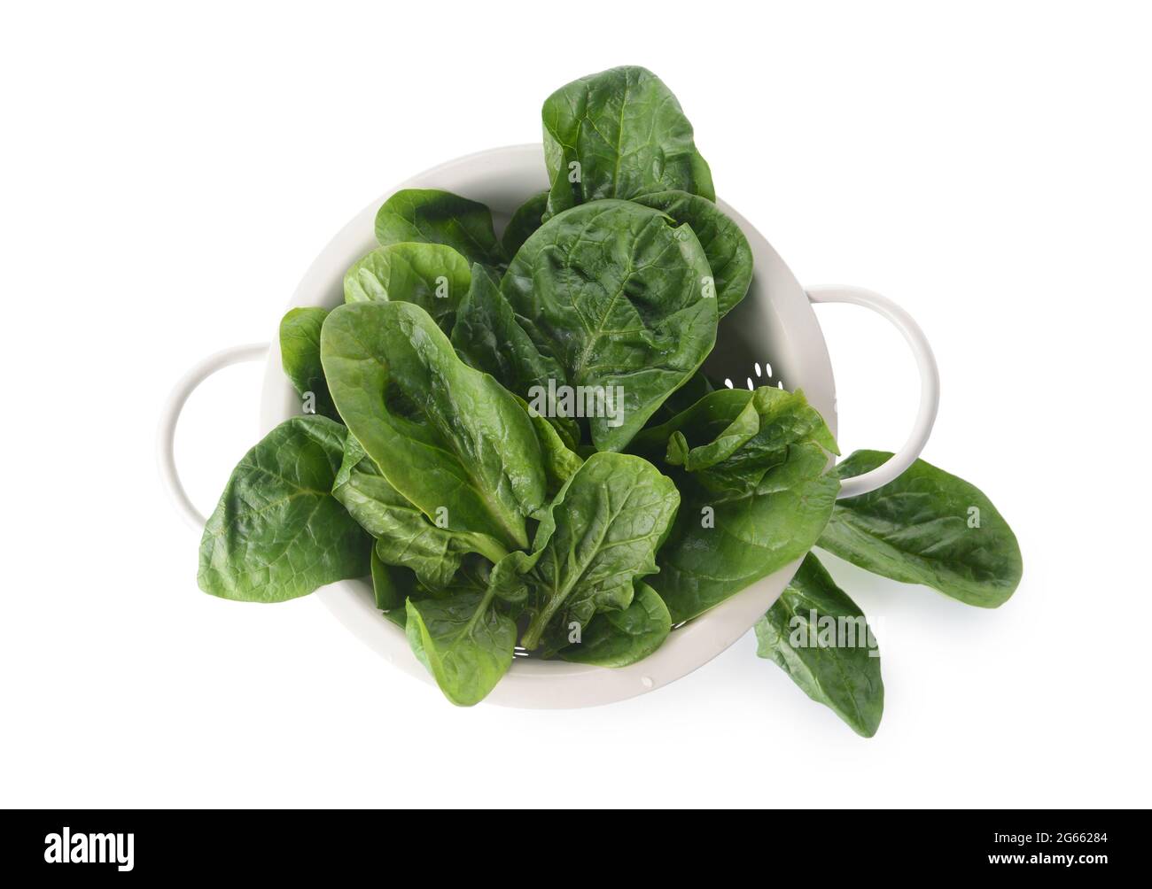 Colander with fresh spinach leaves on white background Stock Photo - Alamy