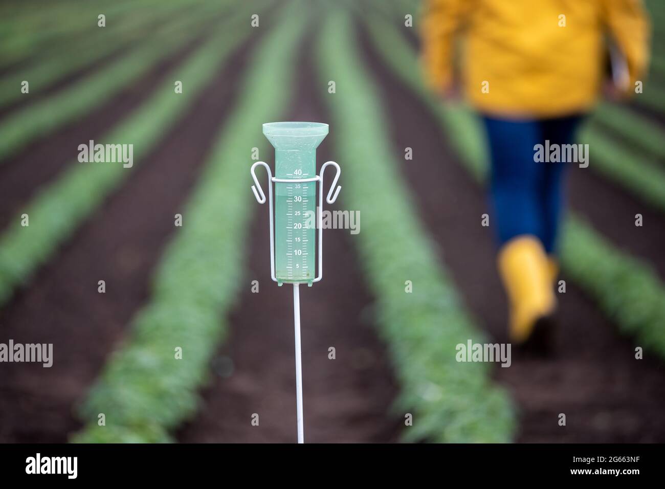 Rain gauge hi-res stock photography and images - Alamy