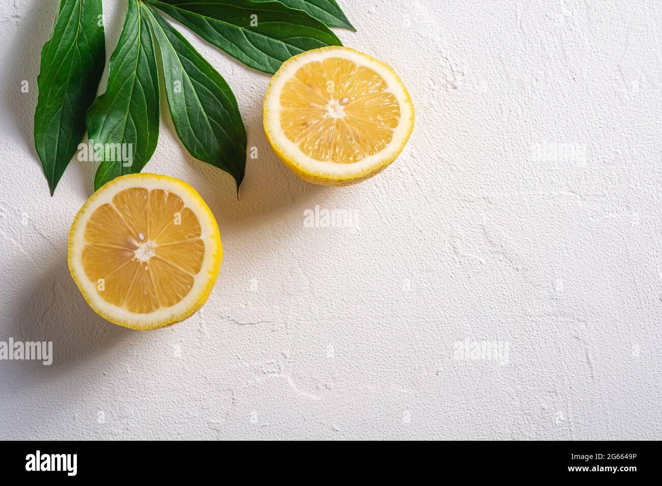 Two lemon slices, tropical citrus fruits with green leaves on white ...