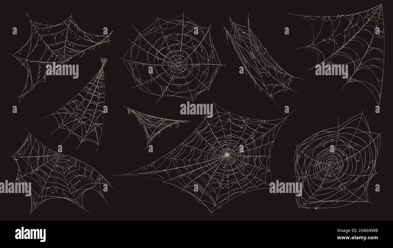 Spider web. Halloween cobweb spooky decoration. Corner with old dusty ...