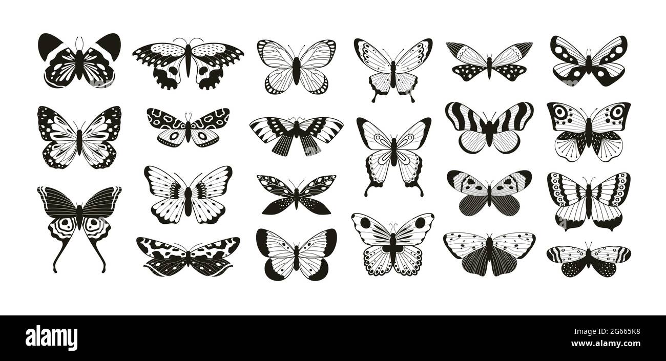 Moth shape Stock Vector Images - Alamy
