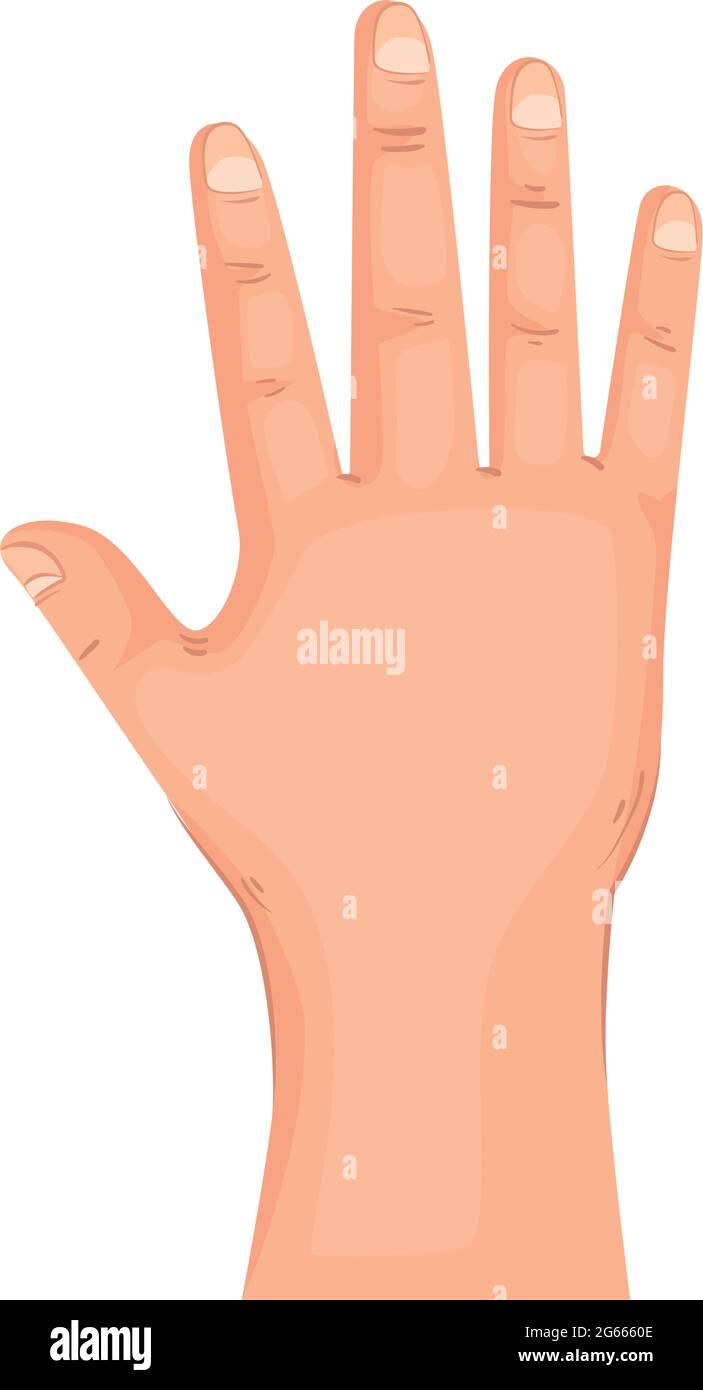 Human hand of front side Stock Vector Image & Art - Alamy