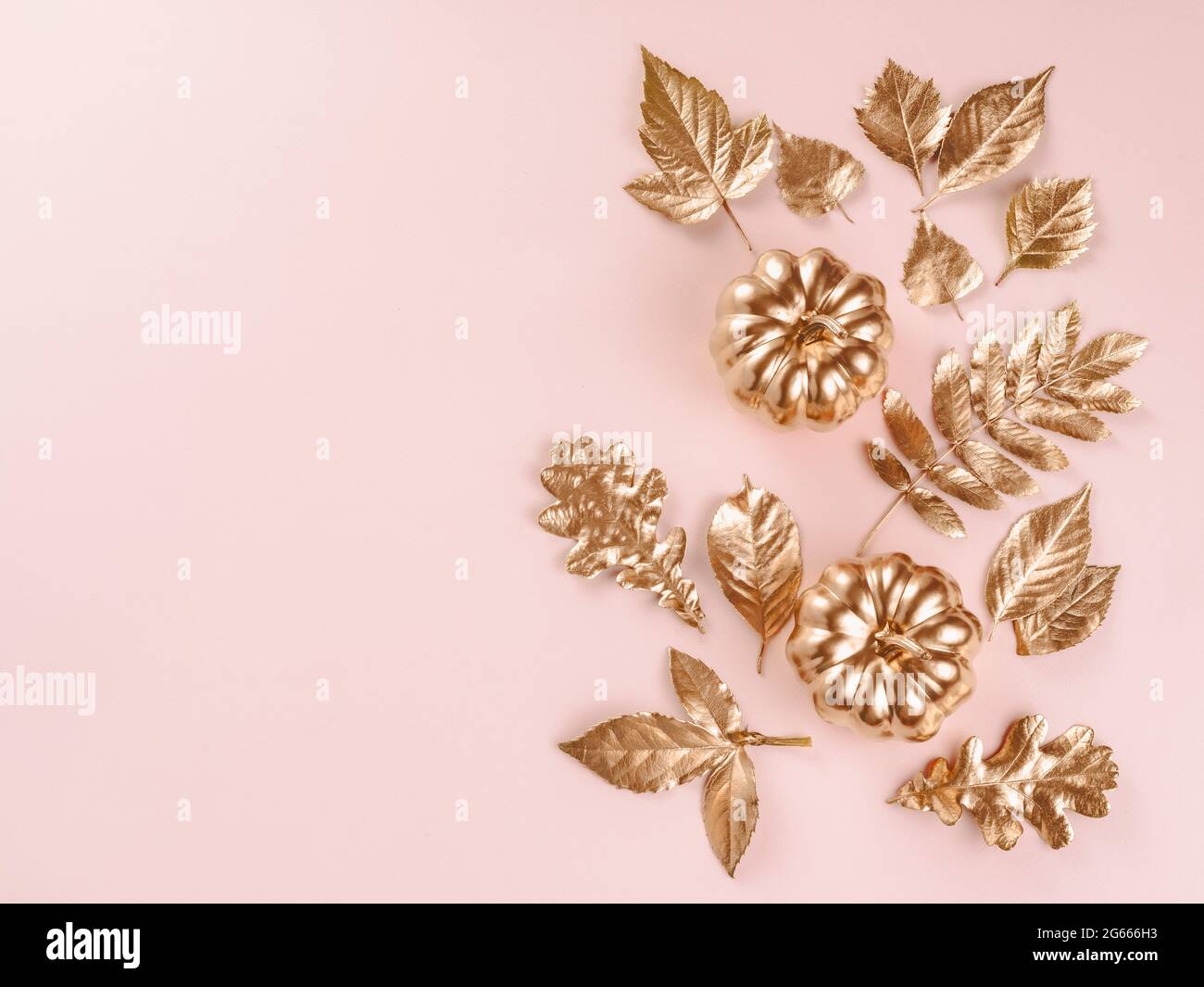 Gold autumn leaves on pink background. Autumn concept. Top view of ...
