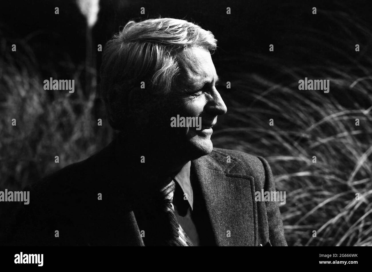 Portrait of the Romanian artist Ion Pacea (1924-1999). Approx. 1979 ...