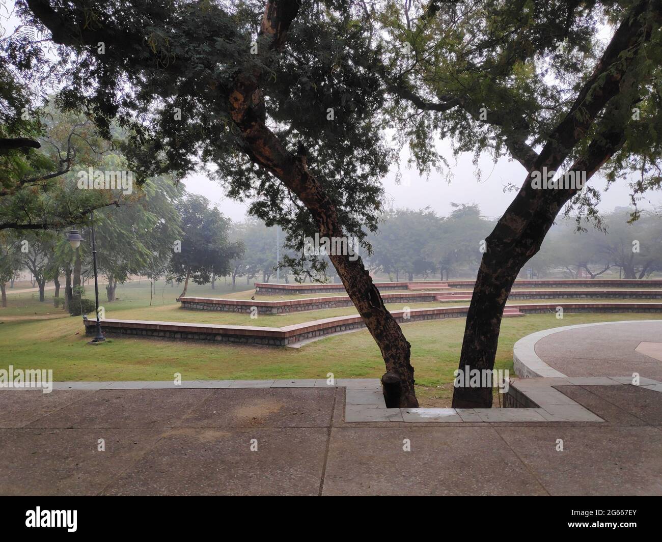 A large public amphitheatre in a park surrounded by trees Stock Photo ...