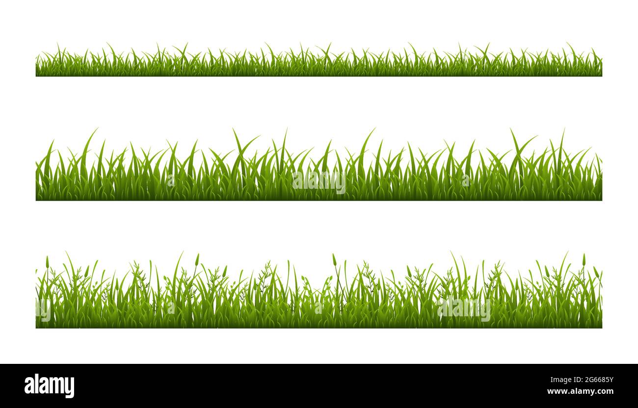 Grass Border Vector