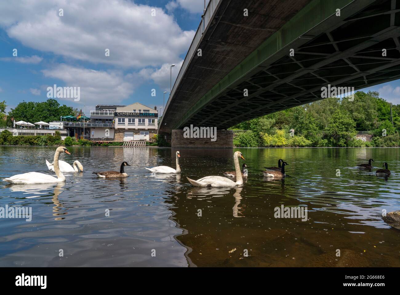 Ruhr bridge steele hi-res stock photography and images - Alamy