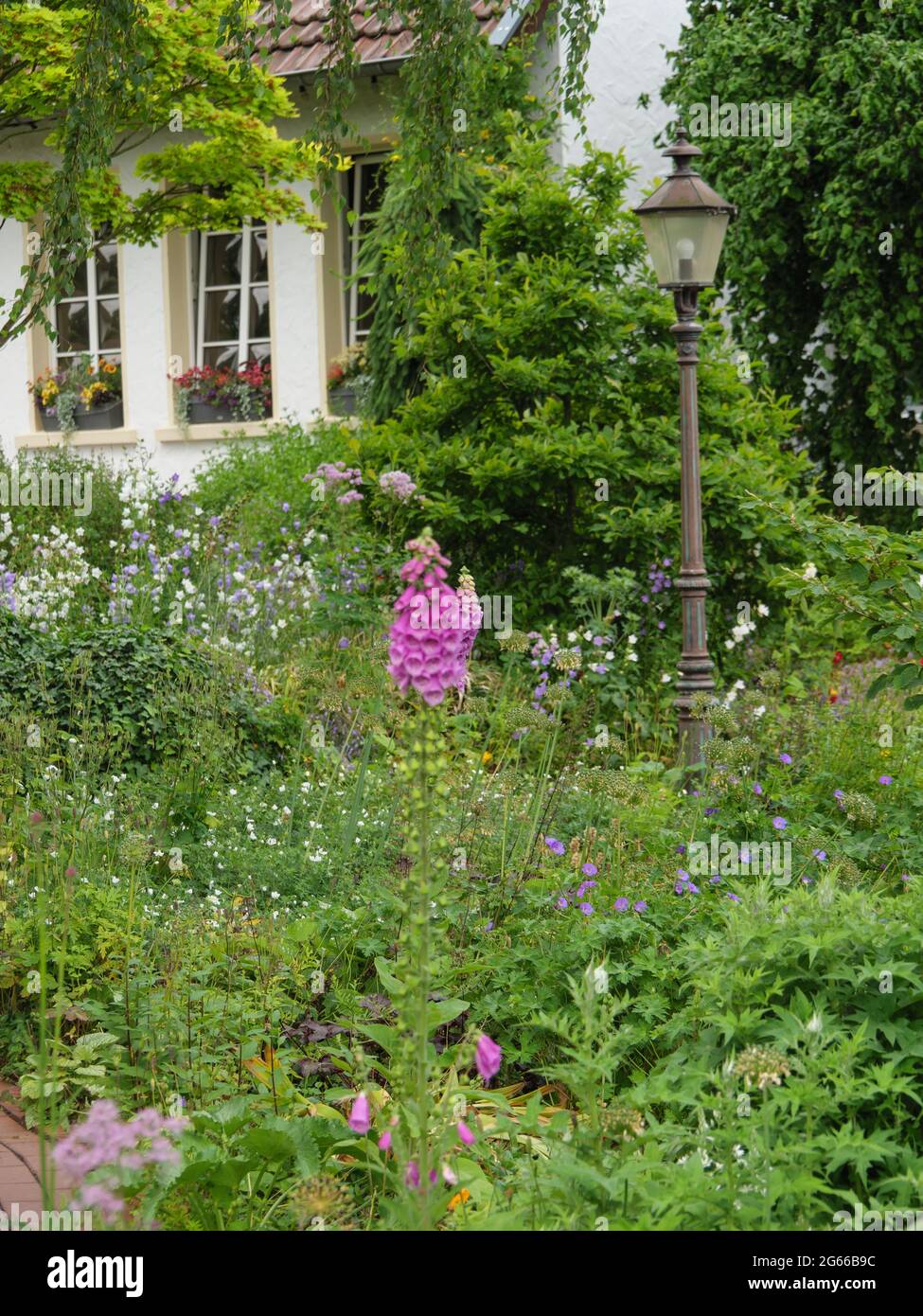 nice garden in westphalia Stock Photo - Alamy