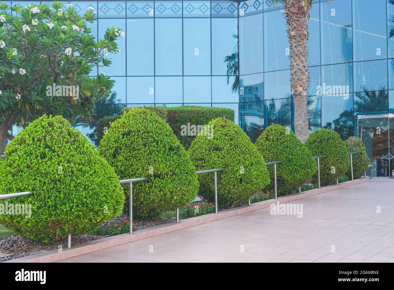 Row of neatly trimmed bushes and trees along path to modern office ...