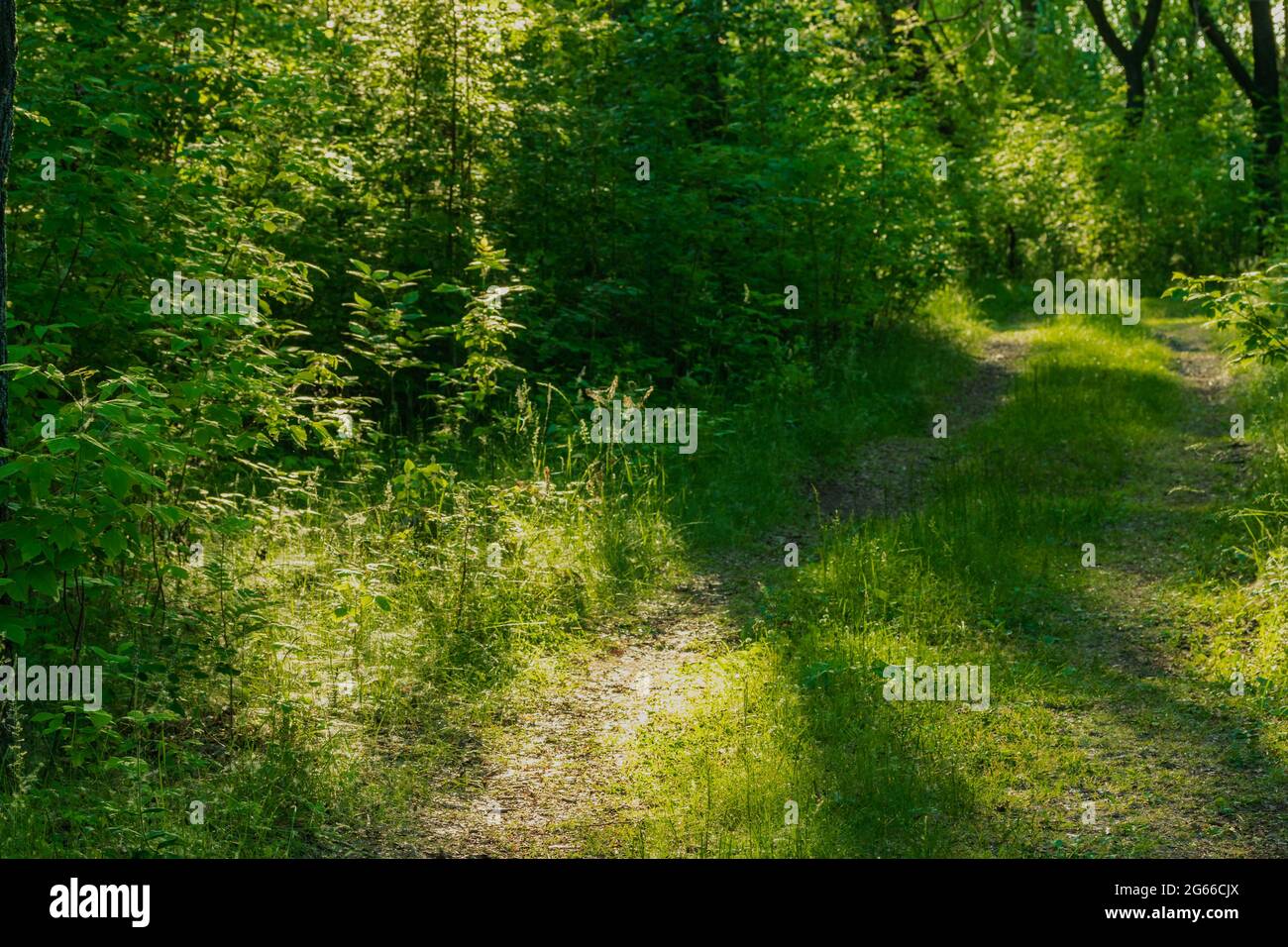 Russia white color hi-res stock photography and images - Alamy