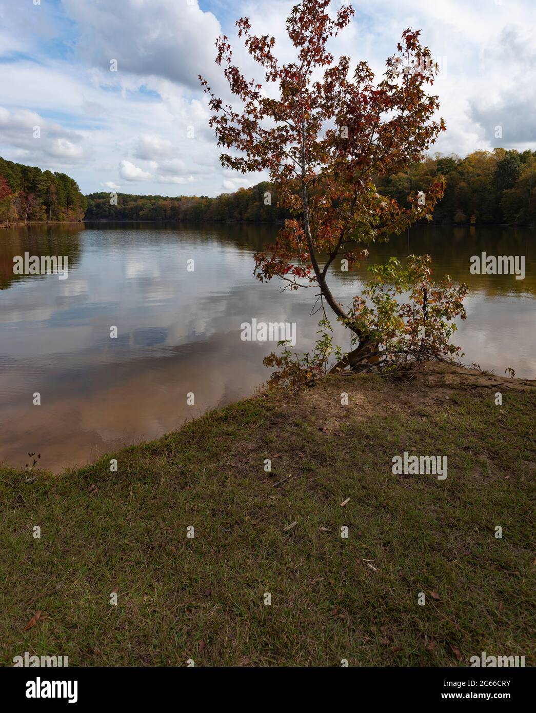 Early fall foliage near Falls Lake in North Carolina Stock Photo - Alamy