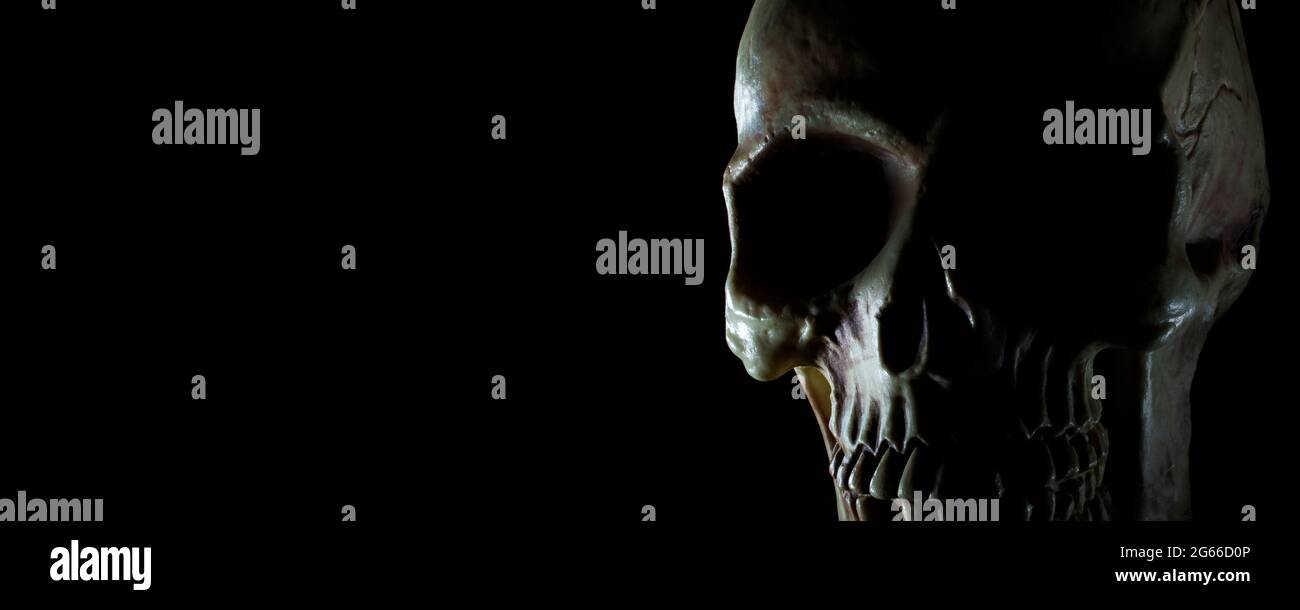 Human skull with rim lighting from the left on a black background with ...