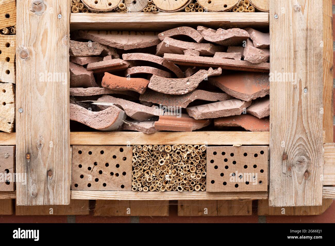 Detail of an insect hotel made of natural materials like wood, bamboo ...