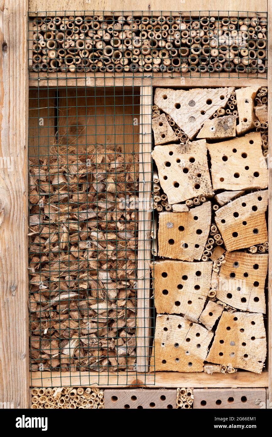 Build a bug hotel hi-res stock photography and images - Alamy