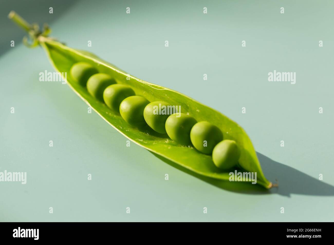 Pea pod close up hi-res stock photography and images - Alamy