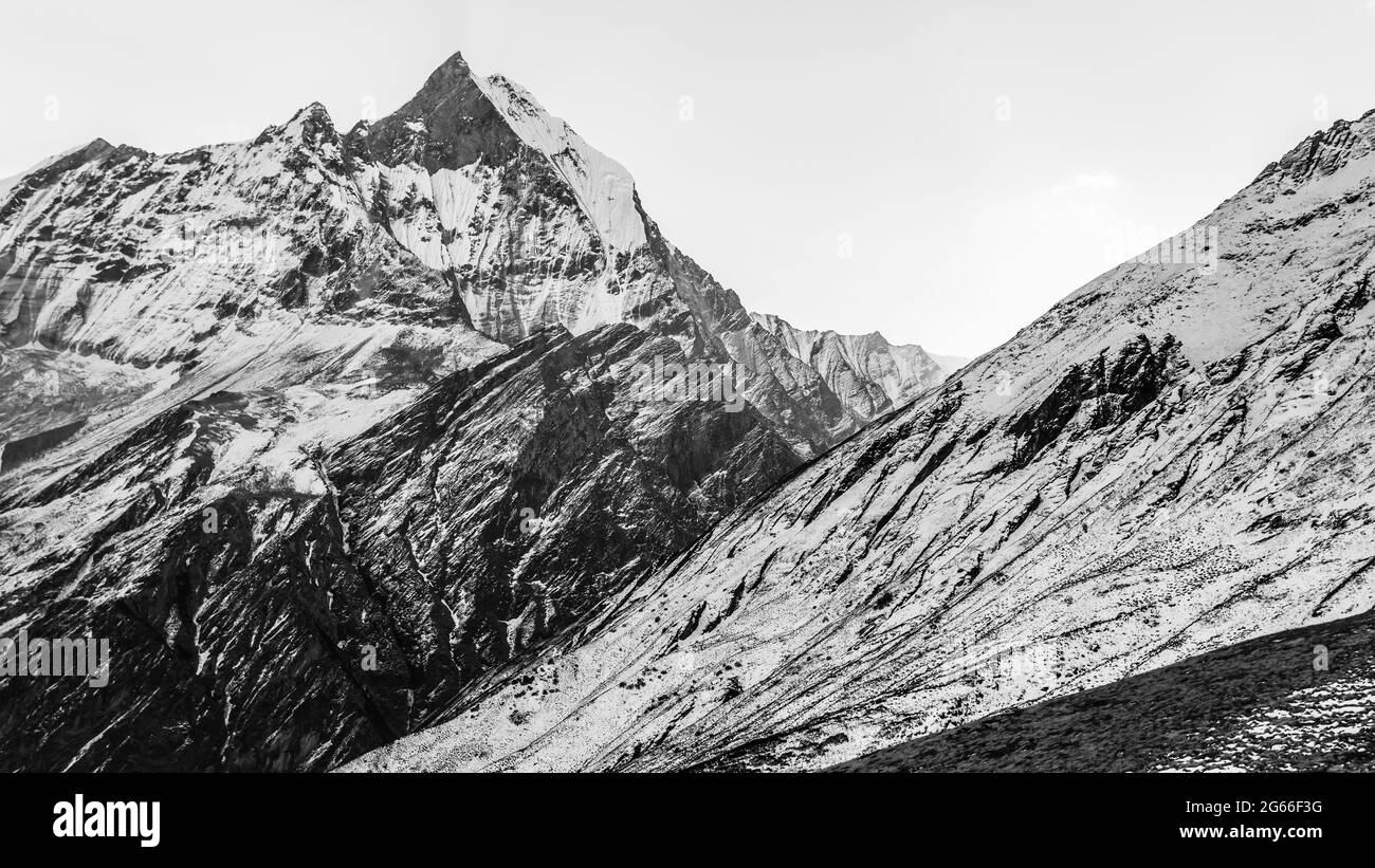 Black and white view of Mount Machhapuchhre or Fishtail Mountain ...