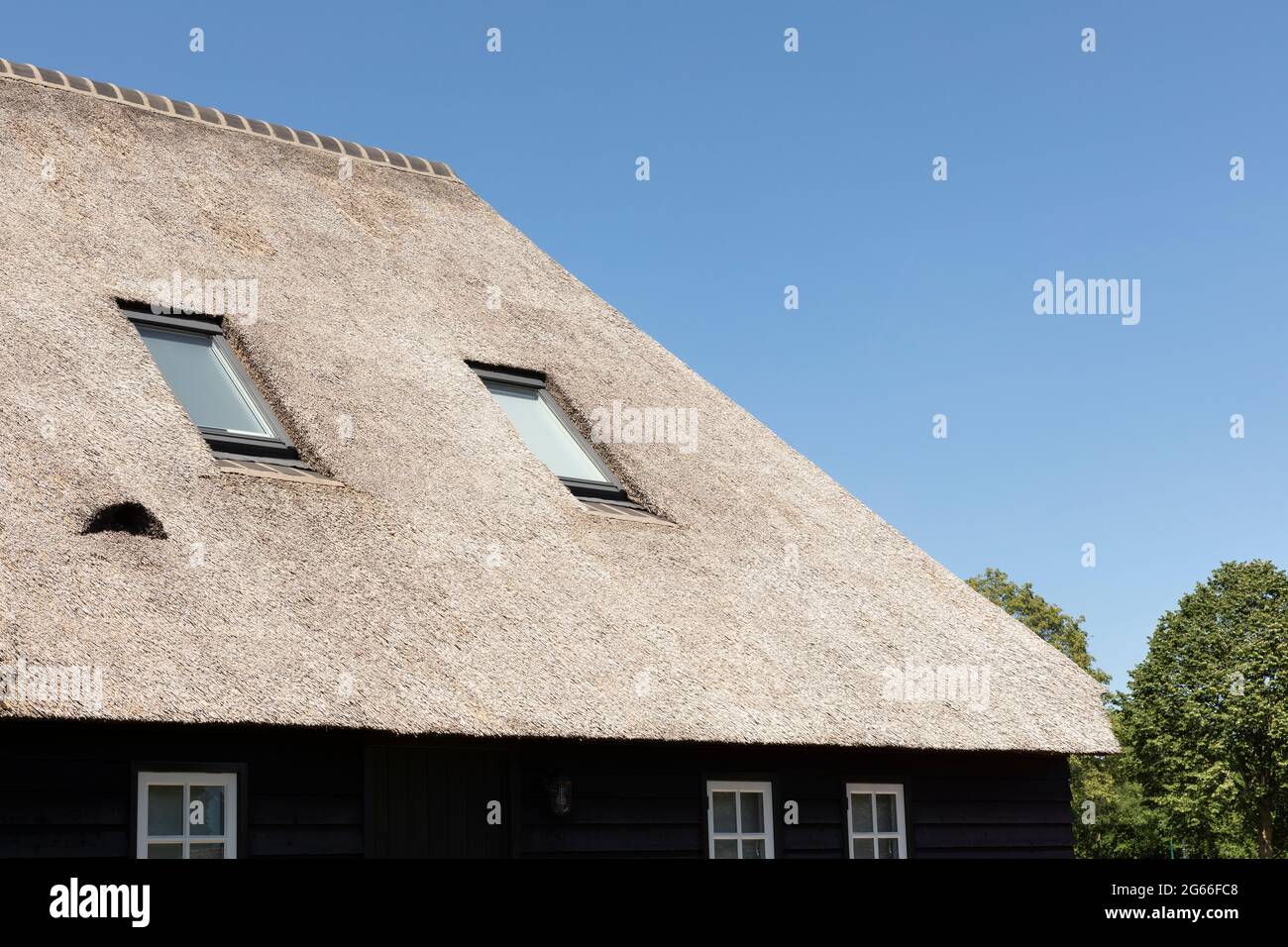 Reed roof texture hi-res stock photography and images - Alamy