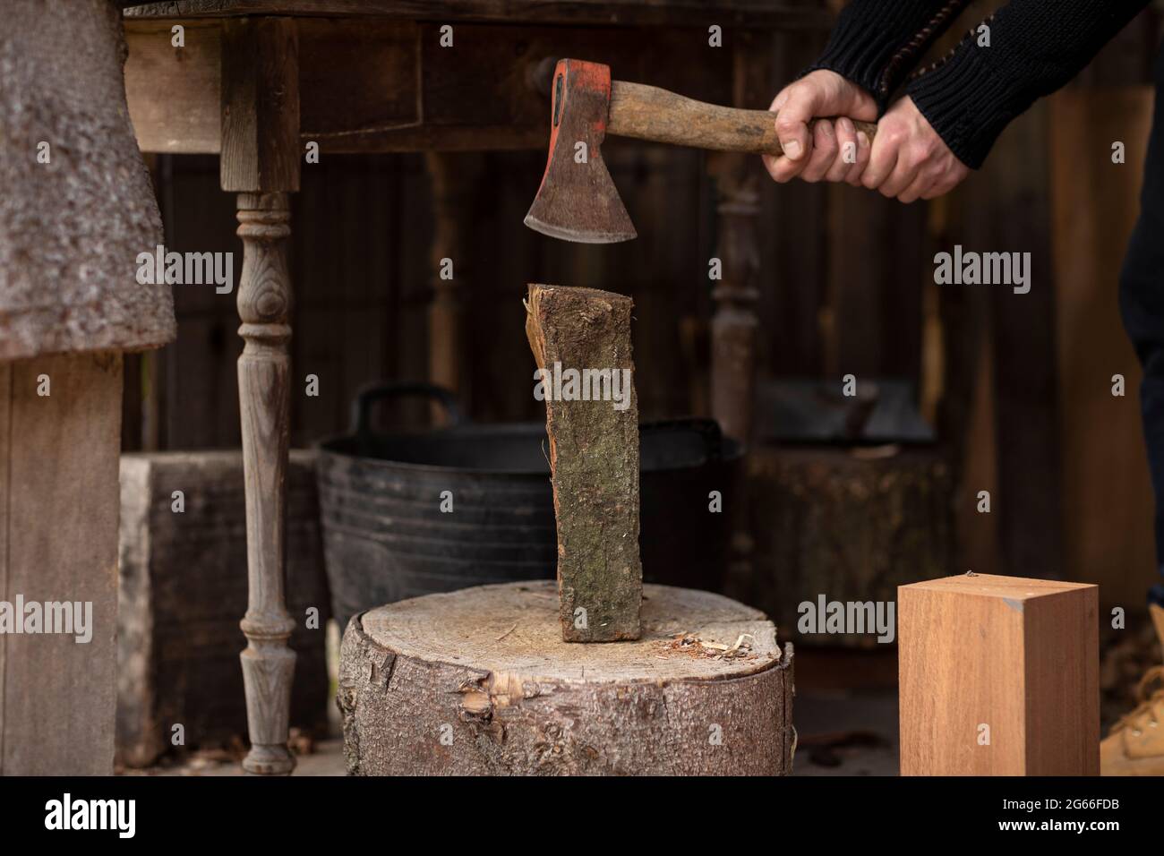 Lumberjack splitting logs of wood with an old axe on a big wooden stump ...