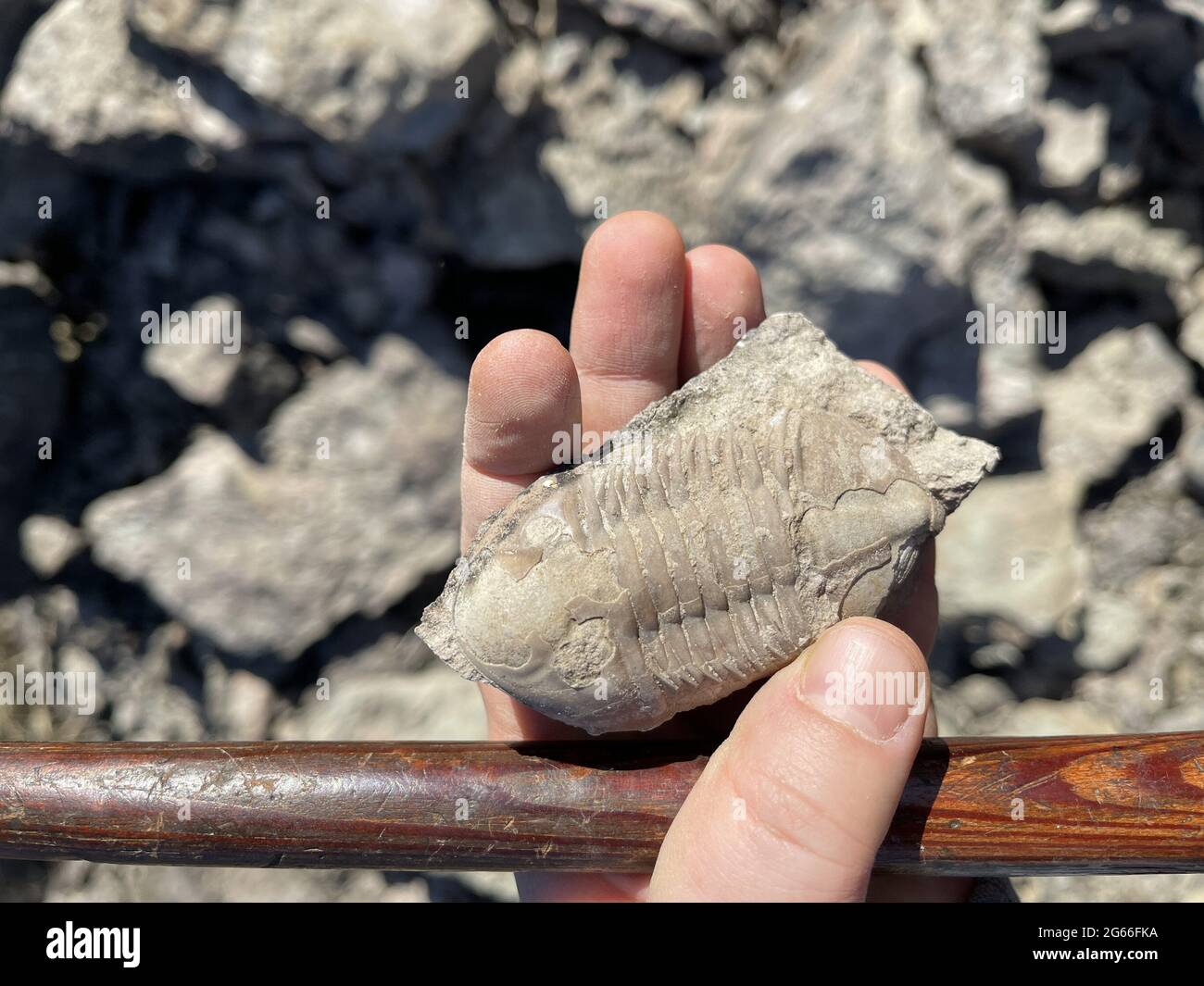Geologist rock hammer hi-res stock photography and images - Alamy