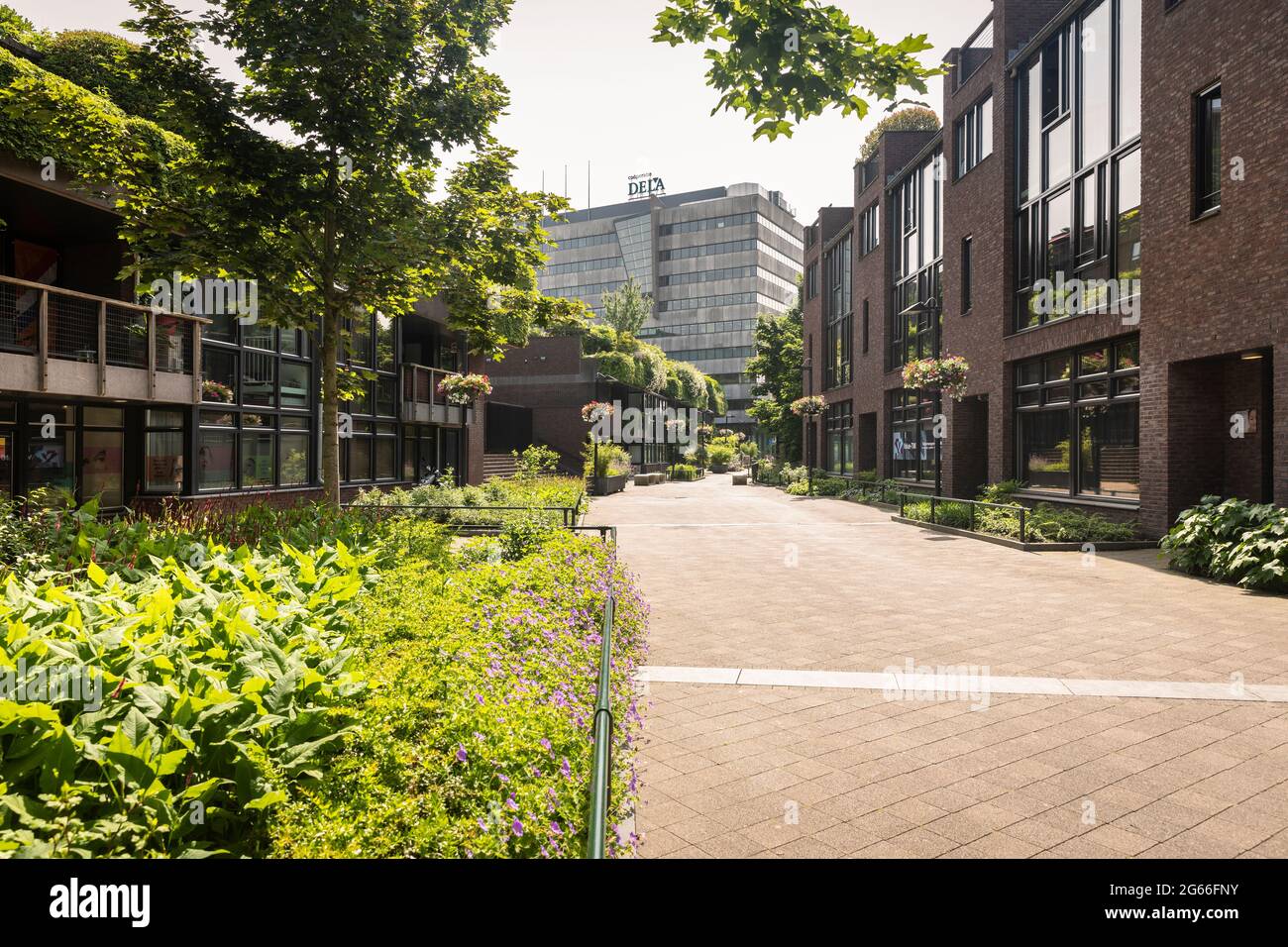 Biophilic city hi-res stock photography and images - Alamy
