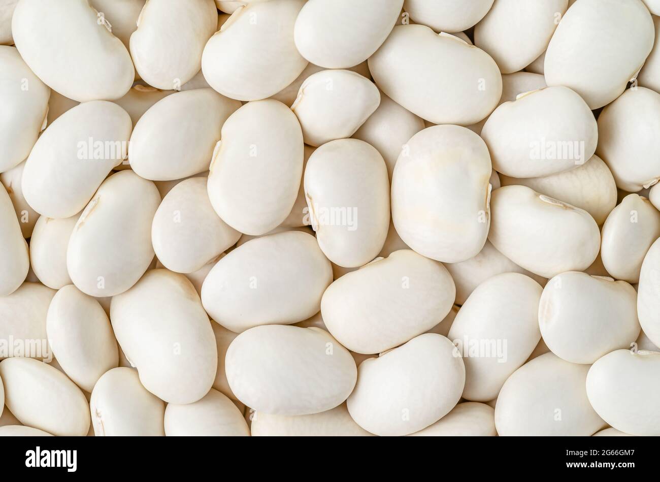 White haricot beans background. Legumes, top view Stock Photo - Alamy