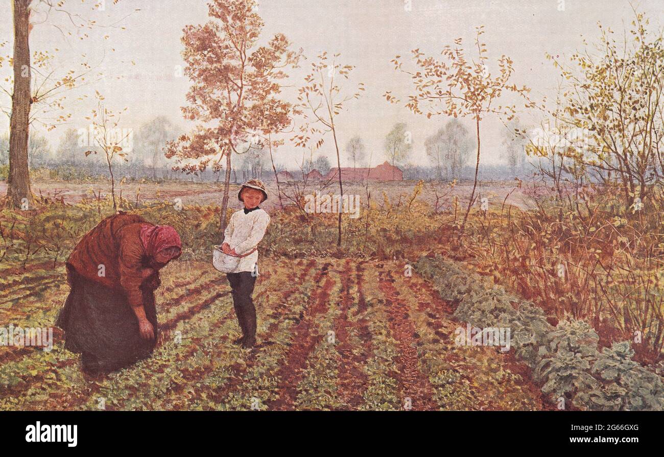 The Violet Field by F. Walker Stock Photo - Alamy