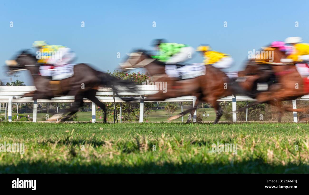 Horse racing action horses jockeys running on grass turf track close up ...