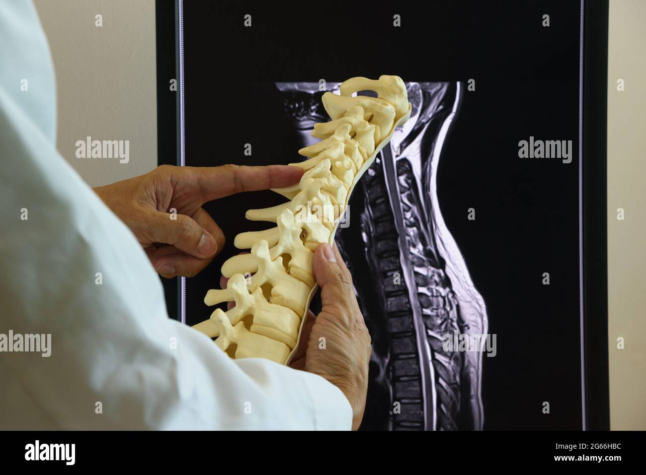 Doctor holding in hand cervical hi-res stock photography and images - Alamy