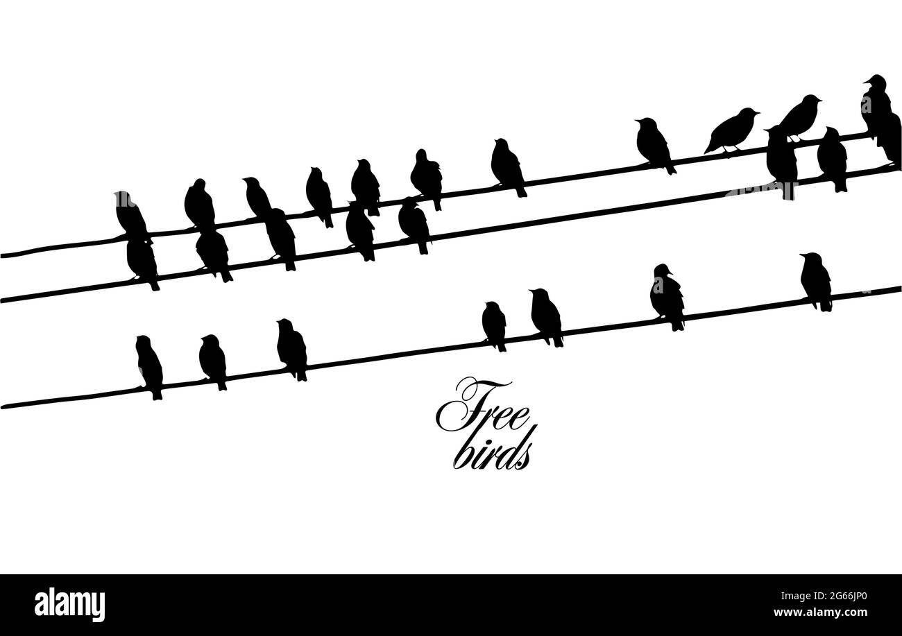 Telephone wires birds Stock Vector Images - Alamy