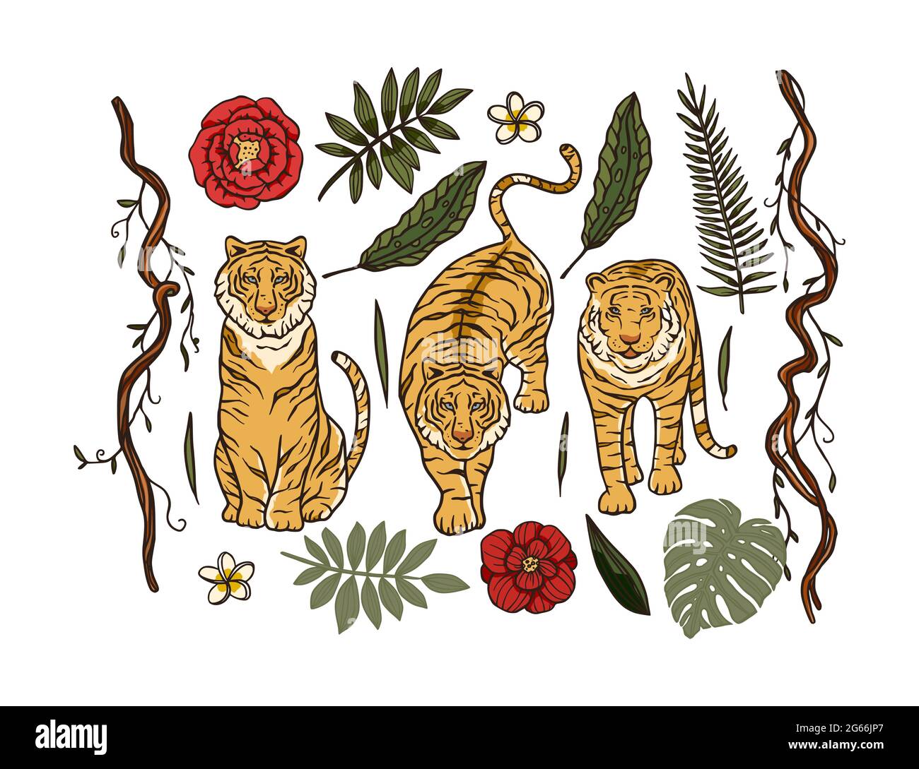 Chinese Tiger Vector