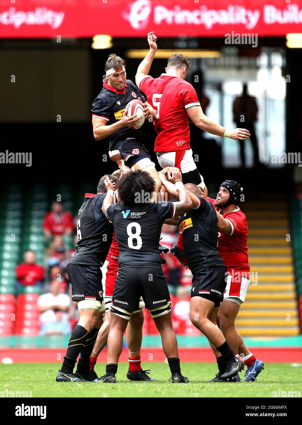 July rugby international series hi-res stock photography and images - Alamy