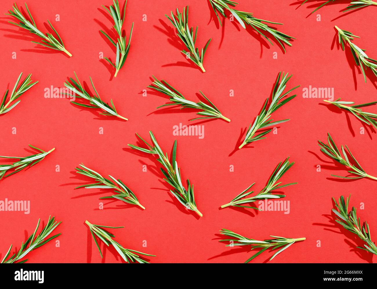 Colorful rosemary pattern on red background, from above, hard shadow ...