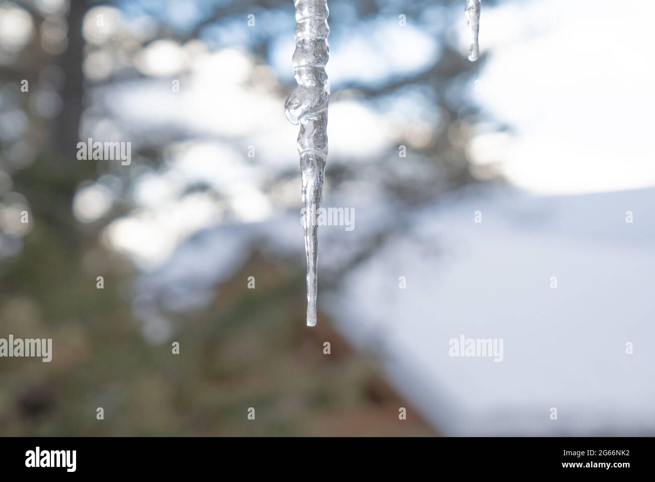Hanging from gutter hi-res stock photography and images - Alamy