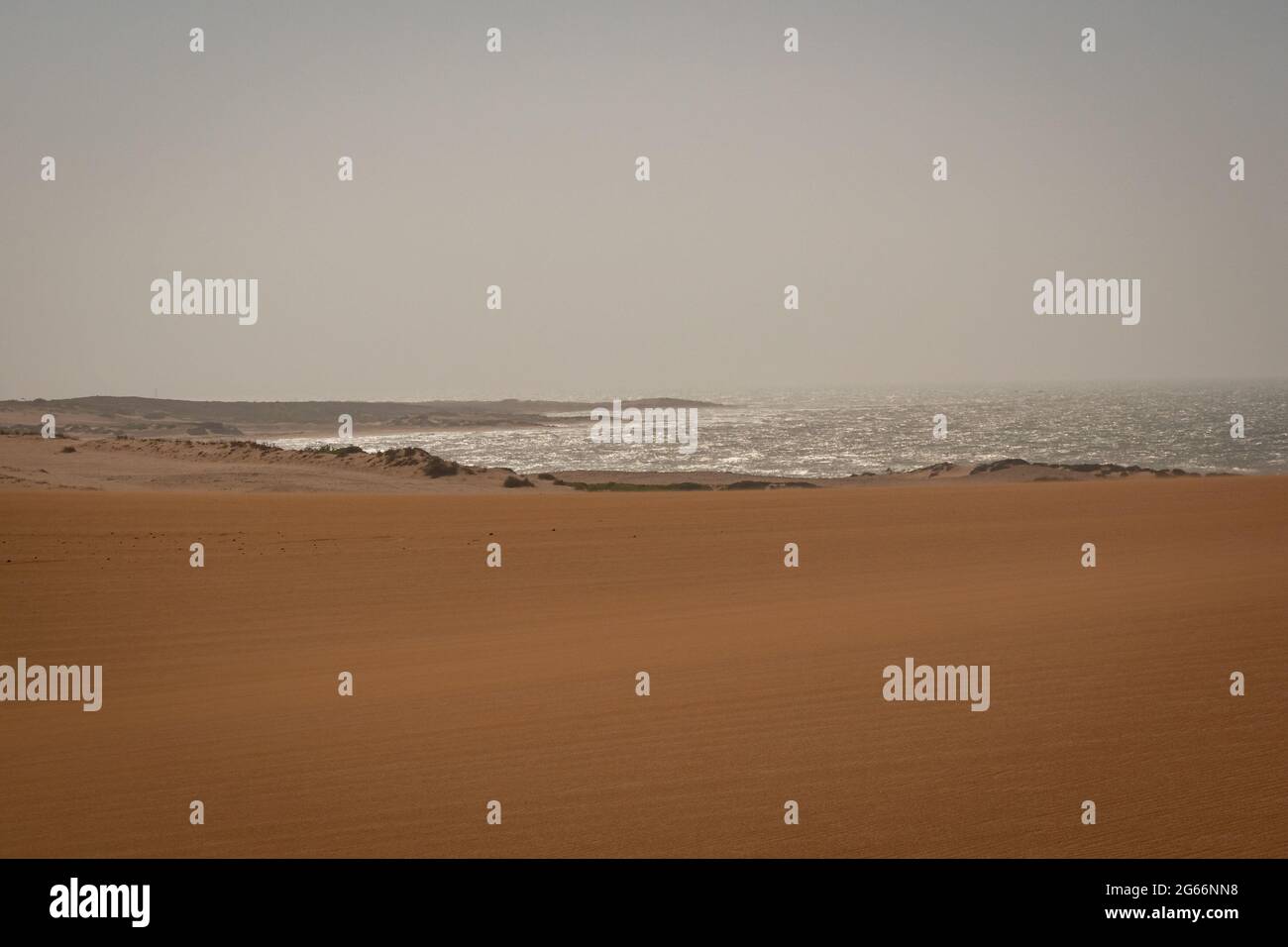 White Spume Known as Sea, Ocean or Beach Foam Created by the Agitation ...